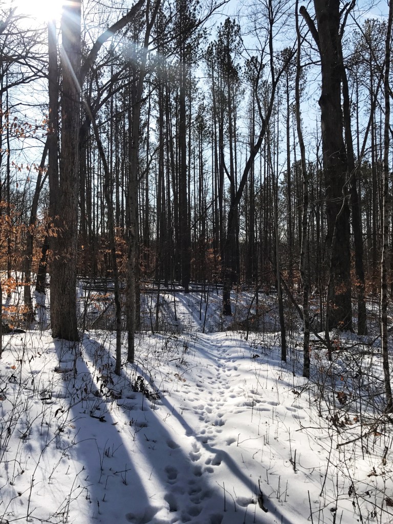 Yellowwood Lake Trail – A Less In Tents Life