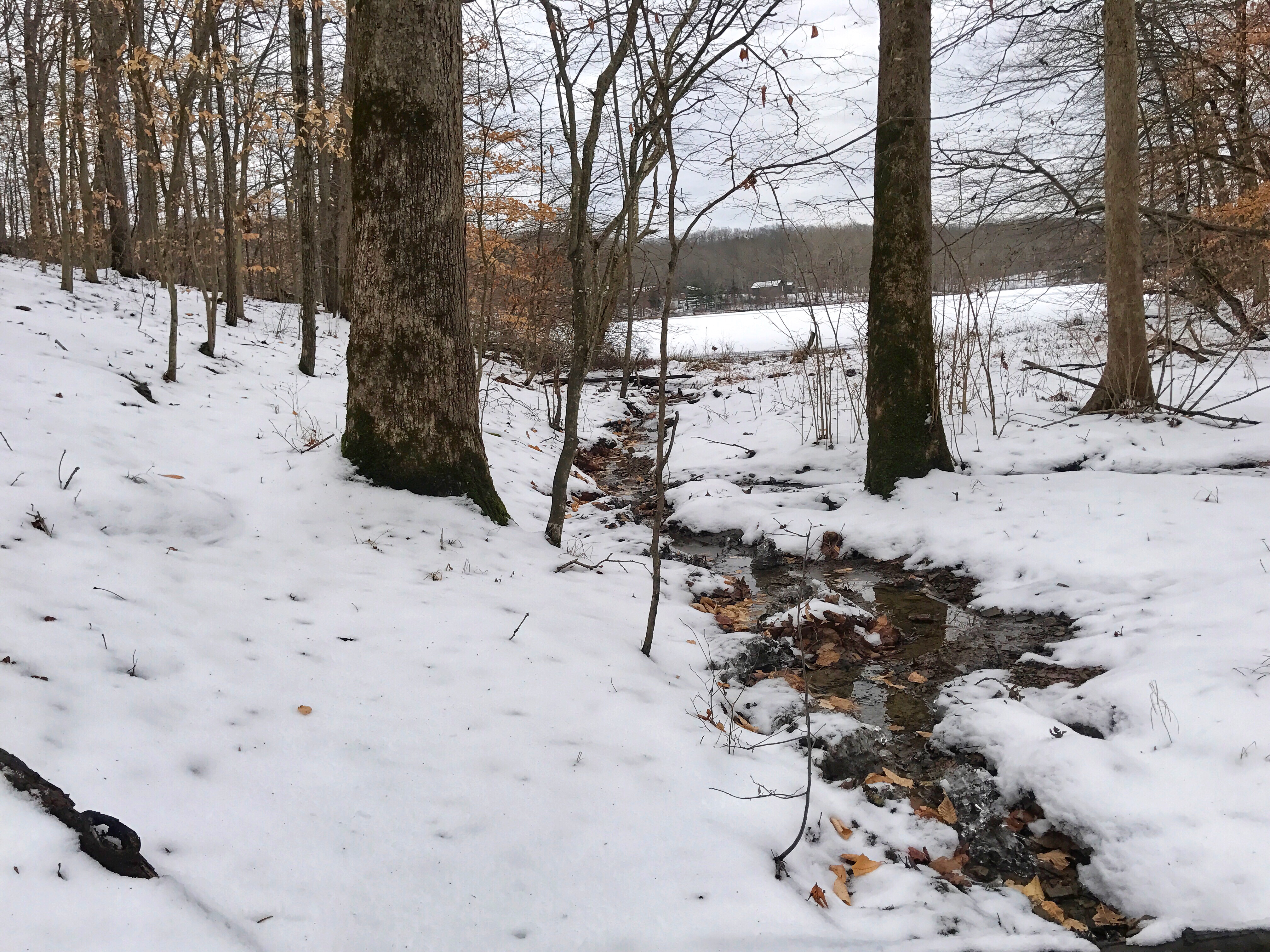Yellowwood Lake Trail – A Less In Tents Life