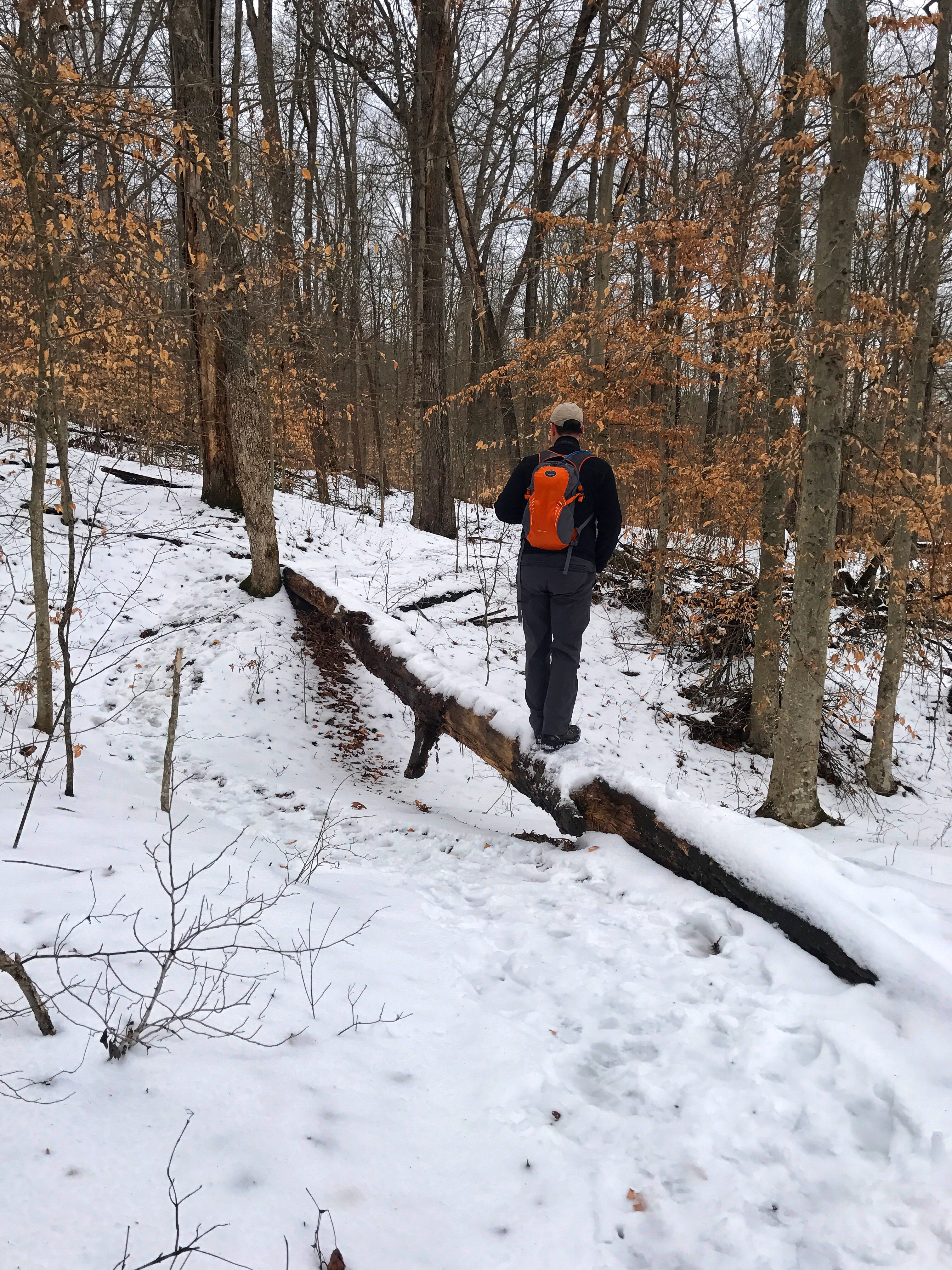 Yellowwood Lake Trail – A Less In Tents Life