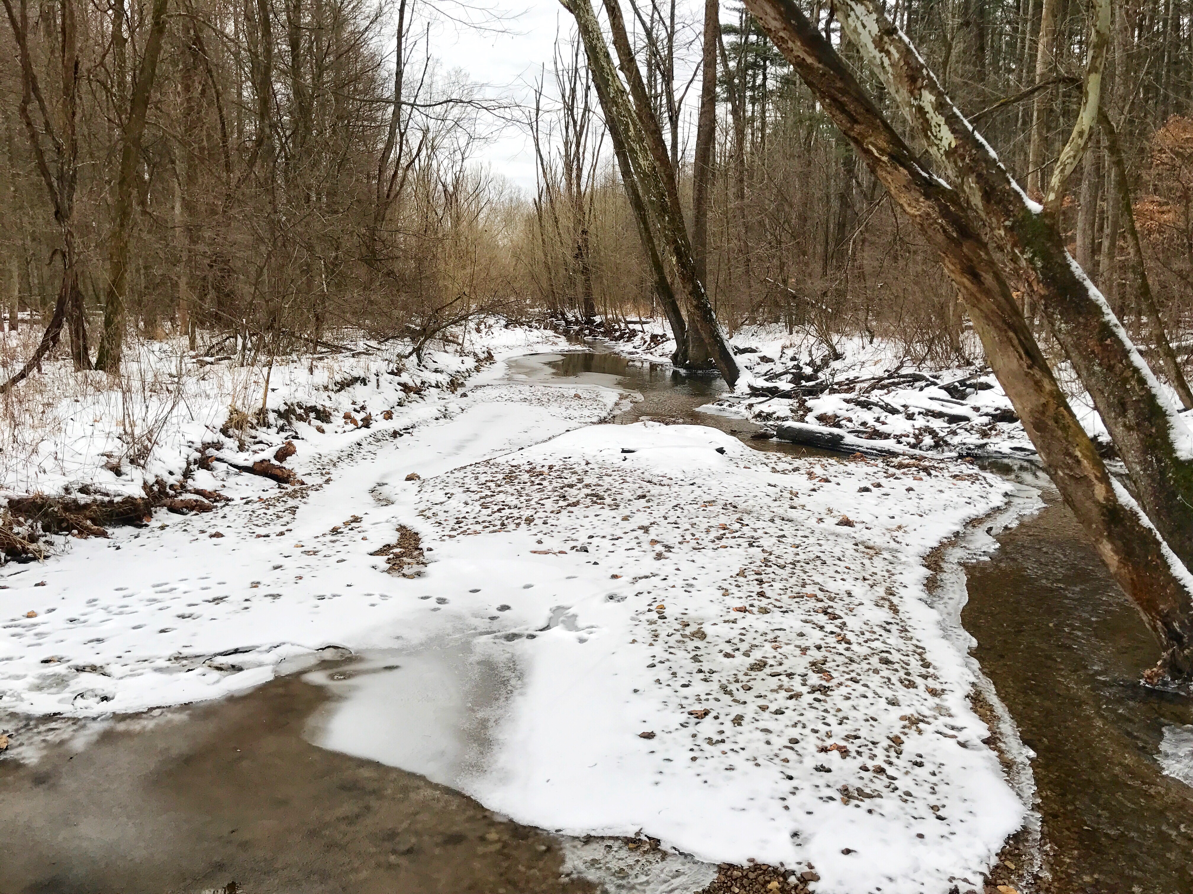 Yellowwood Lake Trail – A Less In Tents Life