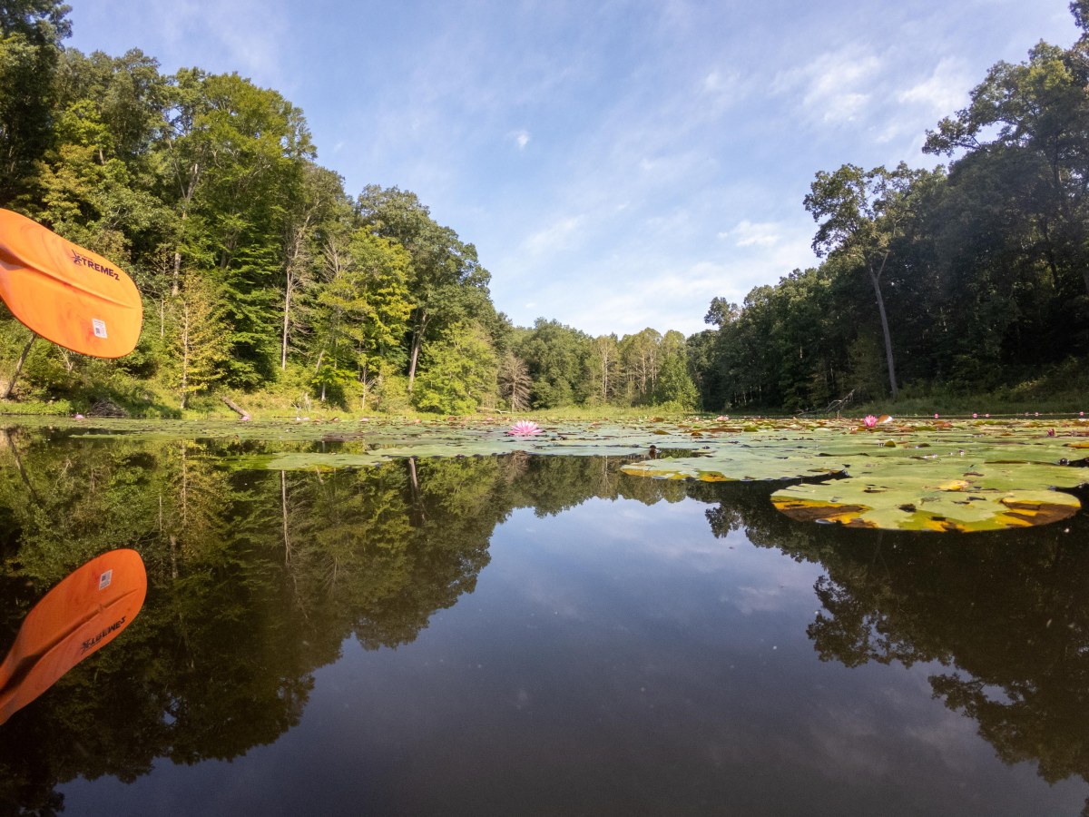 Lake Hope State Park – A Less In Tents Life