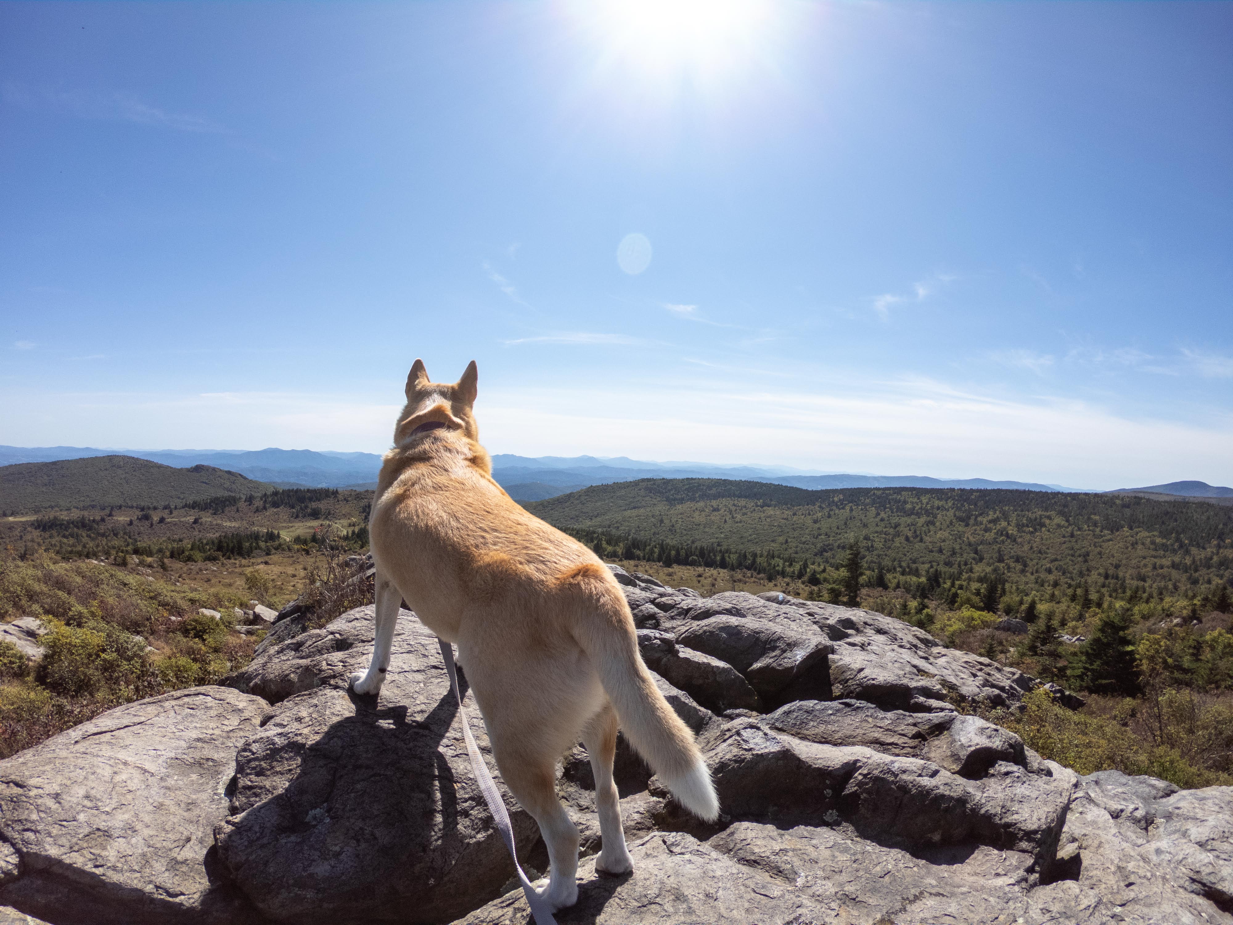 Grayson Highlands State Park – A Less In Tents Life