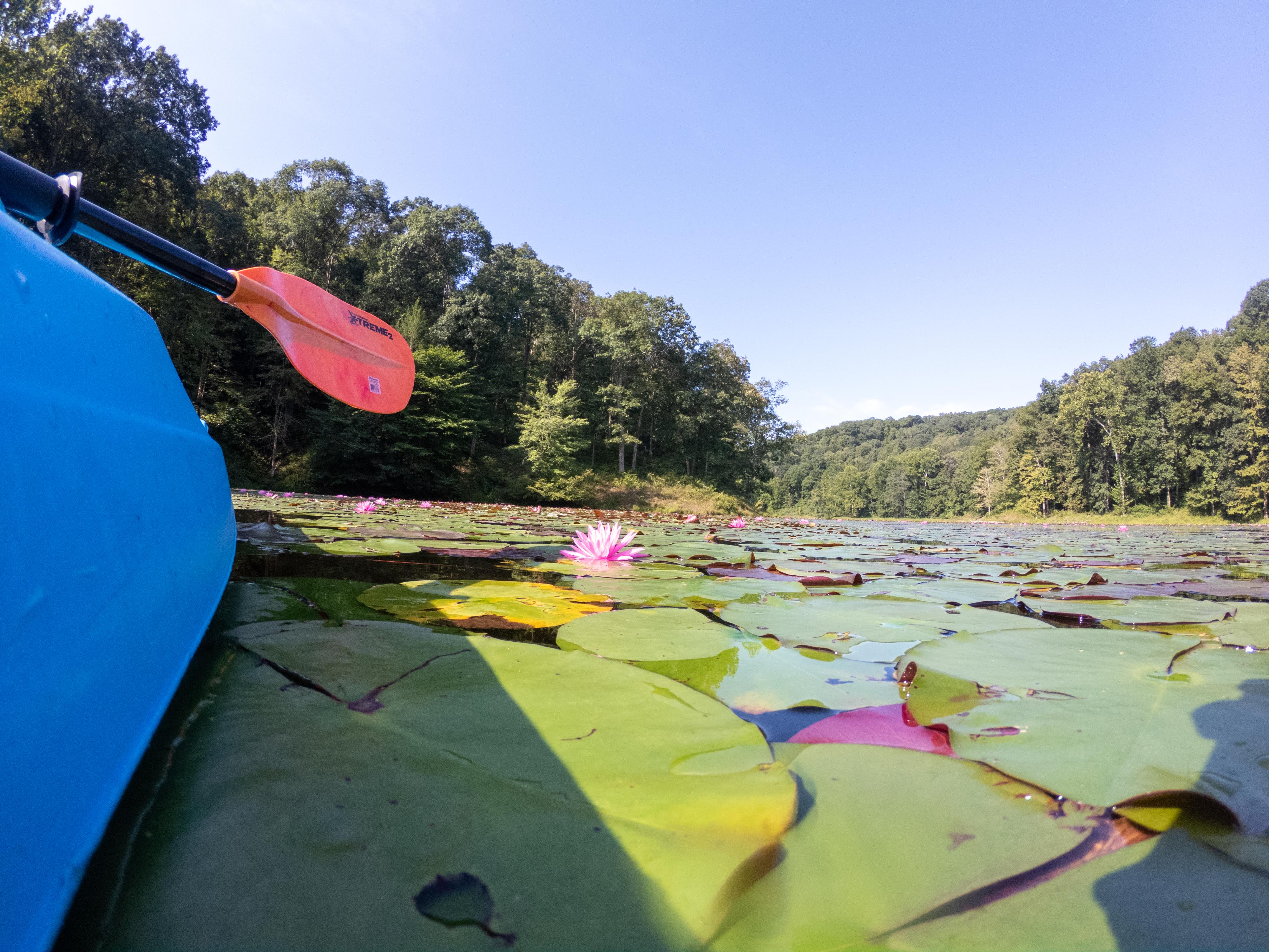 Lake Hope State Park – A Less In Tents Life